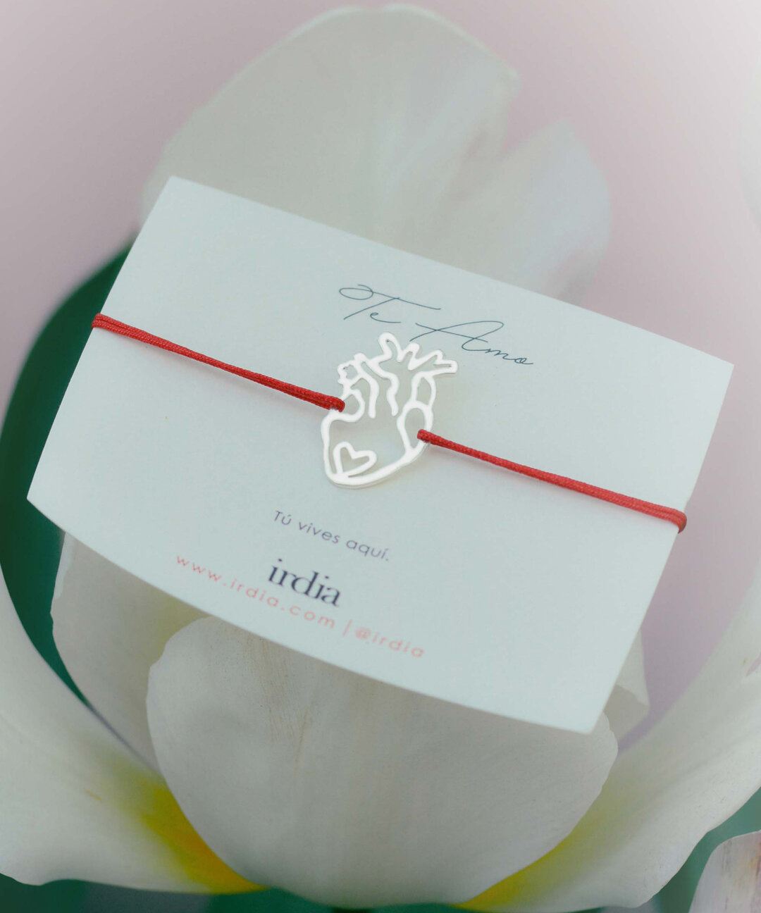 Home – Irdia